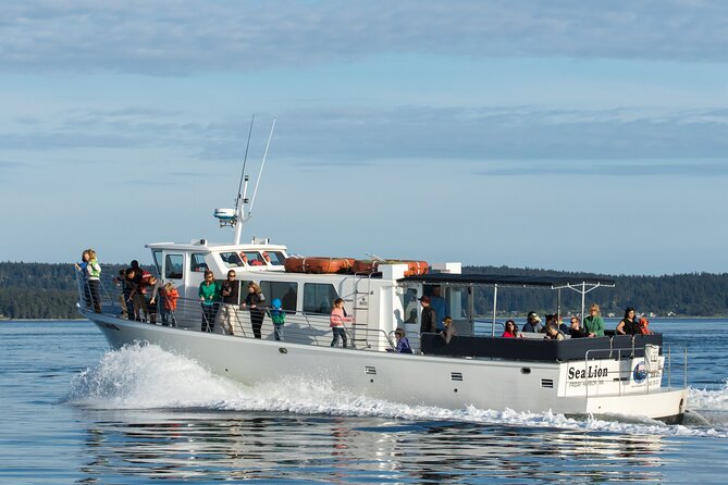 Whale Watching from Friday Harbor - The Bottom Line: Who Is This Tour Best For?