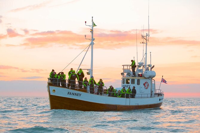 Whale Watching in Husavik - Tour Inclusions and Benefits