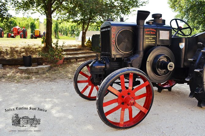 Wine Tour and Tasting at Le Marches Oldest Wine Estate - Ratings and Guest Feedback
