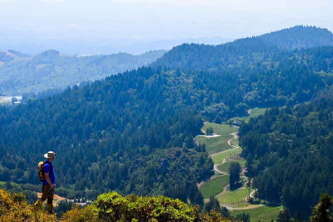 Wine & Wellness Tour in Napa Valley - Final Thoughts