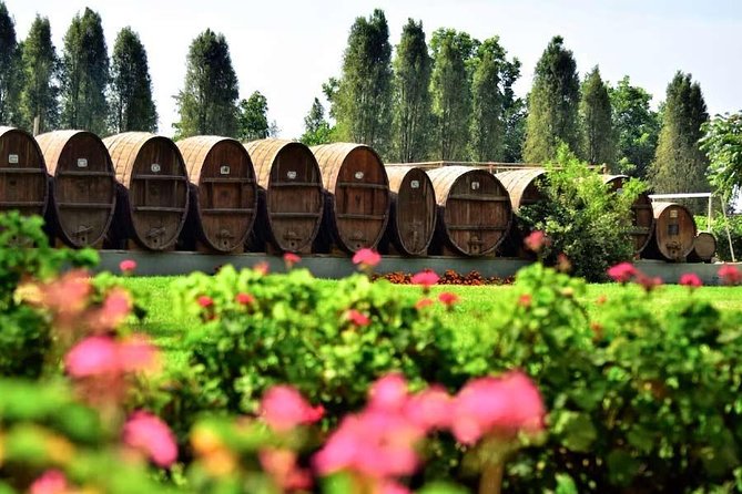 Winery and Pisco Distillery Tour - Practical Information