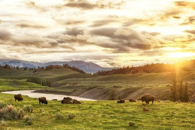 Yellowstone and Grand Teton 4 Day 3 Night Wildlife Adventure - FAQs