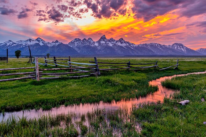 Yellowstone and Grand Teton National Parks Wildlife Adventure (2 Day/1 Night) - Final Thoughts: Who Is This Tour Best For?