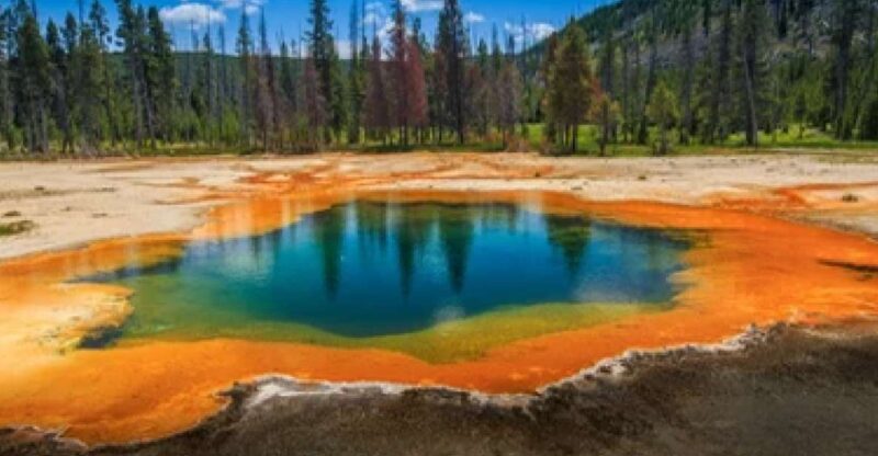 Yellowstone & Grand Tetons: 4-Day/3-Night Wildlife Adventure - Authentic Experiences & Guide Insights