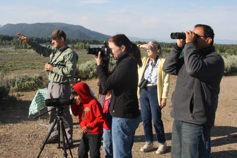 Yellowstone: Old Faithful, Waterfalls, and Wildlife Day Tour - Scenic Highlights and Geology