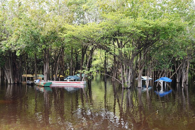 4 Days Amazon Jungle Adventure Tour - Tour Overview