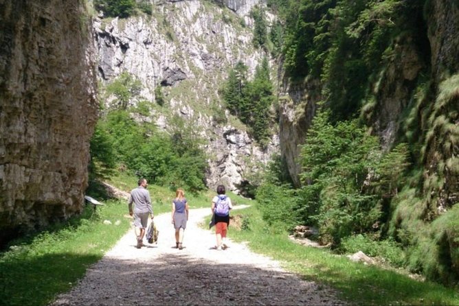 1 Day CARPATHIAN PEAKS & CHALETS Hike - Health and Safety Information