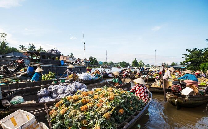 1-Day Mekong Delta Tour: Less-Touristy Cai Be & Vinh Long(Max 10) - The Overall Experience and Who It’s Best For