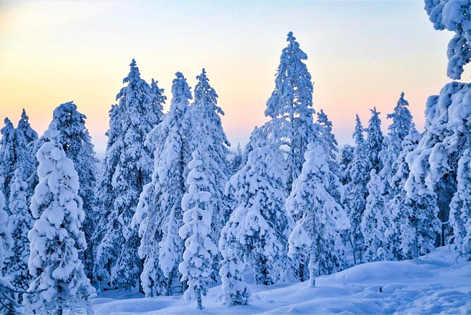 1-Hour Snowmobile Safari Adventure in Rovaniemi - Preparing for the Snowmobile Safari Experience