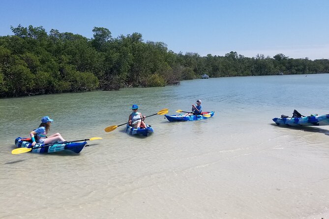 2.5-Hour Guided Group Kayak Tour on Big Hickory Pass - Frequently Asked Questions