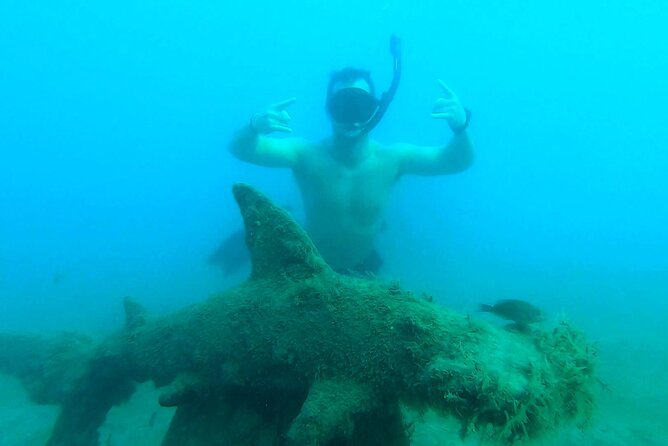 2 ½ - Hour Guided Snorkel Tour of Phil Foster Park, Free Videos! - The value of guided expertise and local insights
