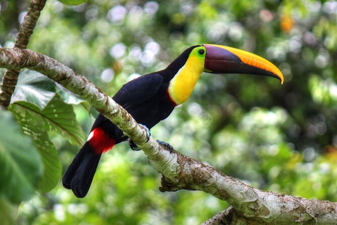 2 Days 1 Night in Corcovado Sirena From Drake Bay - Pricing and Cancellation Policy