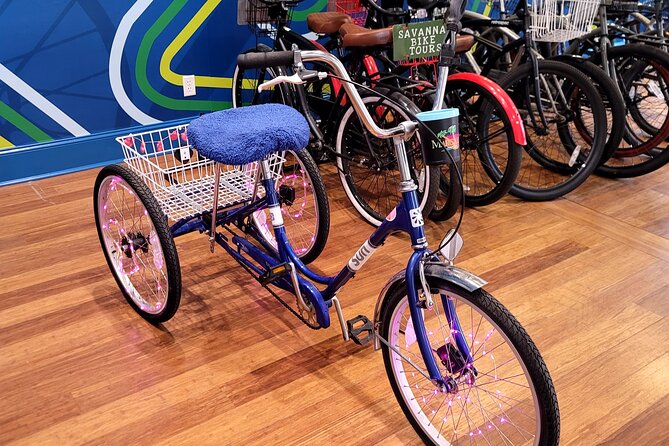 2-Hour Explore Savannah Bike Tour - Who Will Love This Tour?