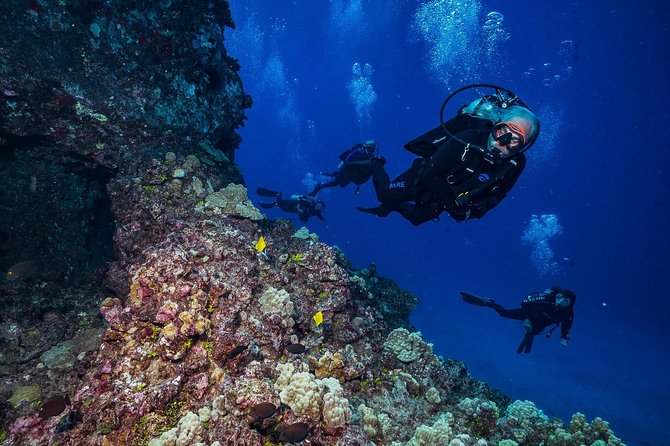 2 Tank Lanai Cathedral Scuba Dive Via Boat for Certified Divers - Who Should Consider This Tour?
