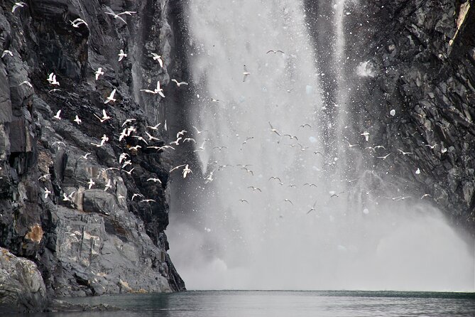 26 Glacier Tour, Self-Drive From Anchorage, AK - Onboard Amenities and Dining Experience
