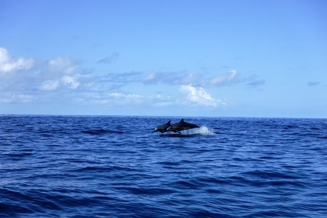3.5 Hour Kailua-Kona Ocean Kayak and Snorkel Tour - FAQ