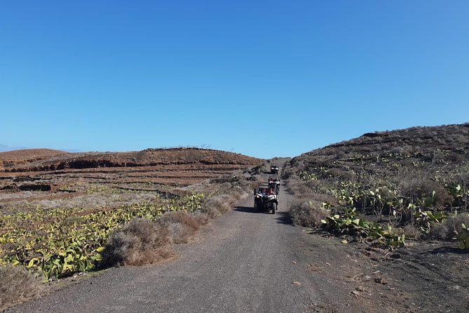 3-Hour Buggy Tour From Costa Teguise - Experience Highlights