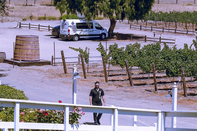 3-Winery Tour Includes Tastings & Lunch in Santa Ynez From Citysb - Customer Feedback and Ratings