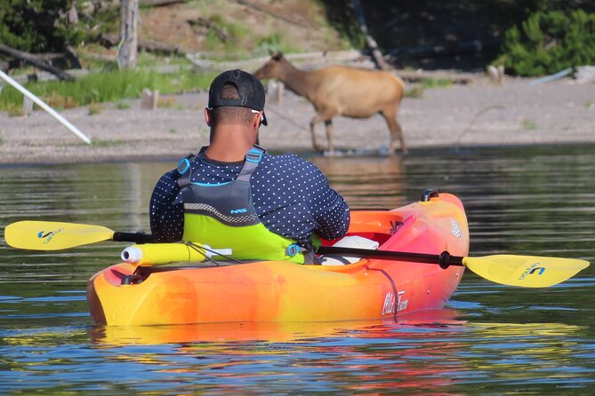 4-Hour Morning Kayak on Yellowstone Lake With Lunch - Health and Safety Information