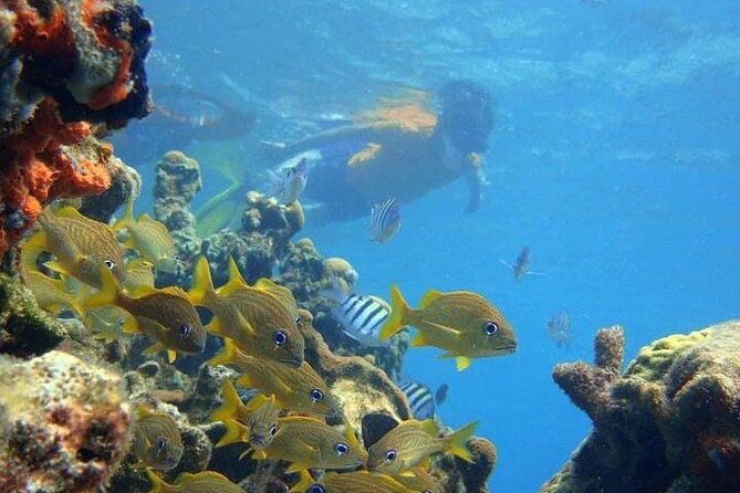 5 Islands Tour to Rosario Islands With Snorkeling Activity! - Exploring the Rosario Islands
