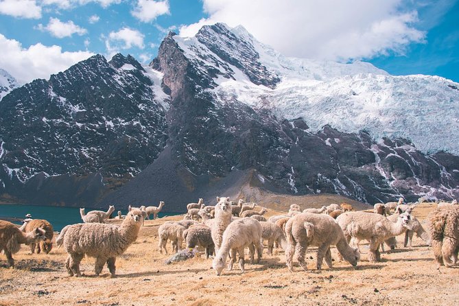 6 Day Rainbow Mountain X Ausangate Trek - Flashpackerconnect - Safety and Health Considerations