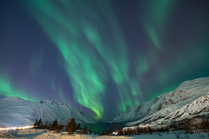 A Journey in Search of the Northern Lights | Private - Delightful Local Cuisine by the Campfire