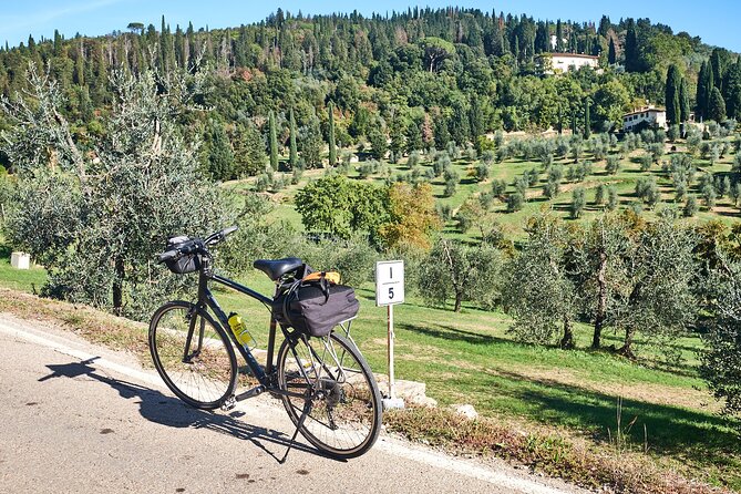 Active Full Day Tuscan Bike Tour With Wine Tasting and Lunch - Bike Tour Route and Highlights