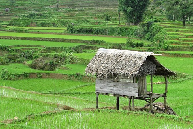 Active Volcano, Rice Field, Hot Spring, Fruit market, Tea Plantation with Lunch - FAQs