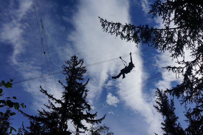 Adventure Parks & Zipline Tour - Physical Requirements