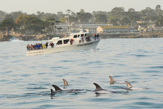 Afternoon Whale Watch - Safety Considerations and Accessibility