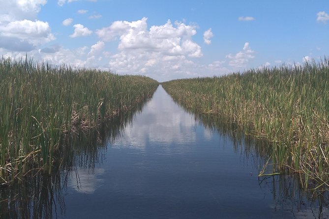 Air Boat Tour of Palm Beach in The Swamp Monster - The Swamp Monster Air Boat