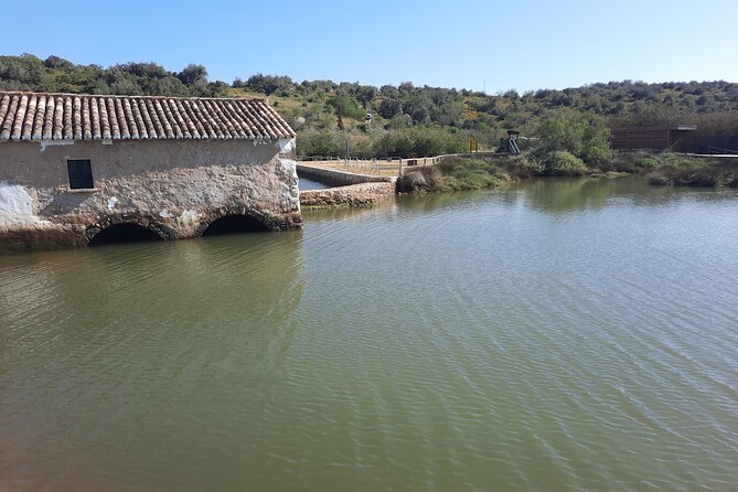 Algarve Private Tour With Typical Lunch - Understanding the Accessibility and Participation Options
