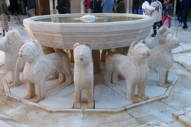 Alhambra and Granada City Center Sightseeing Tour! - Accessibility and Meeting Information