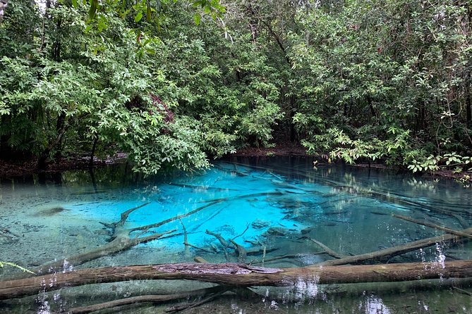 All day Krabi Jungle Tour (Hot Spring Water, Emerald Pool, Tiger Cave Temple) - The Sum Up
