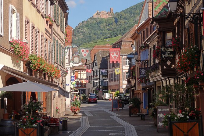 Alsace 4 Wonders Private Full Day Trip - Transportation and Comfort