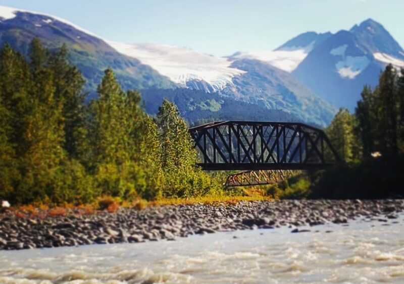 Anchorage: 11 Day Grand Alaska Highlights Tour - Who Would Love This Tour?