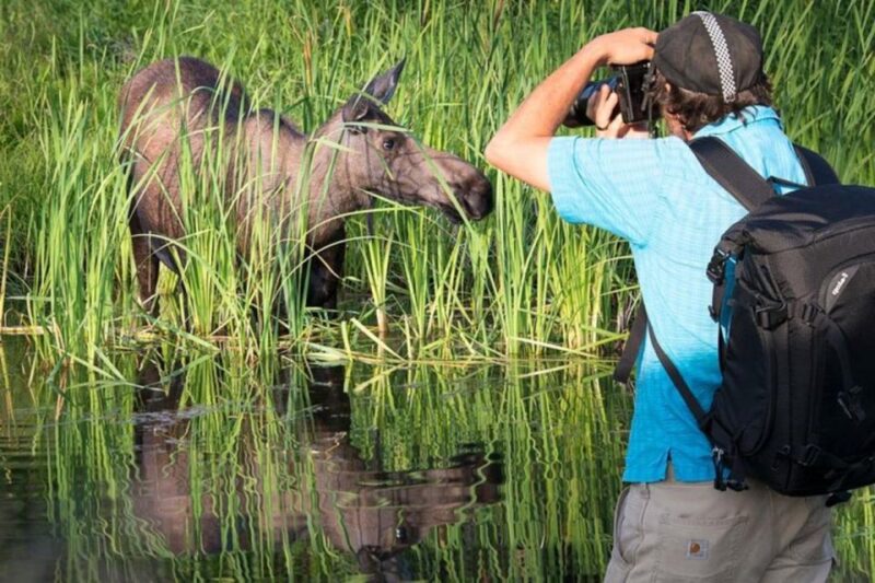 Anchorage: Sunset Photo Safari - Final Thoughts