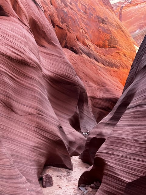 Antelope Canyon Lake Powell: Guided Kayaking & Hike Tour - What Makes This Tour Stand Out?