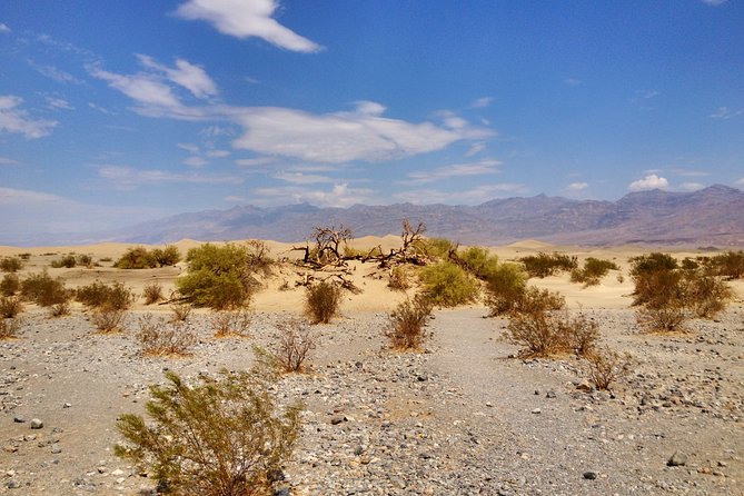 Arizona Ghost Towns and Wild-West Day Trip from Las Vegas - FAQ