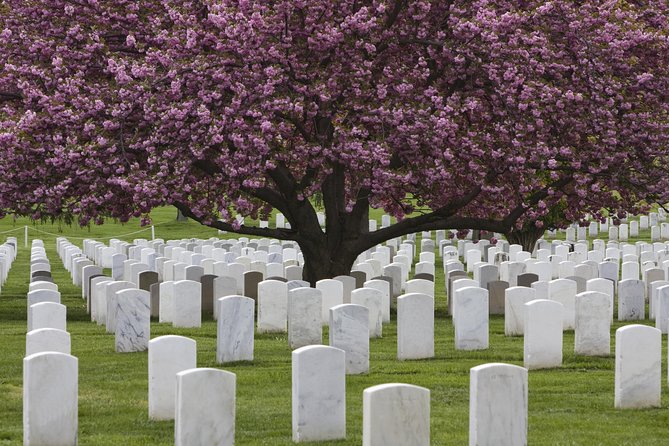 Arlington National Cemetery Hop-On Hop-Off Tour - Customer Experiences