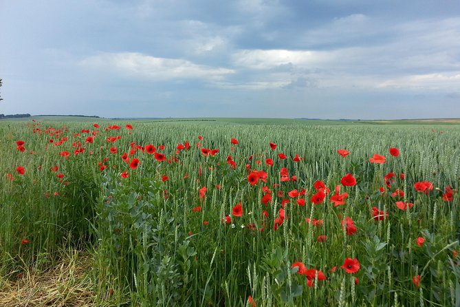 Australian Private Somme Tour Including Sir John Monash Centre - Inclusions for a Comfortable Journey