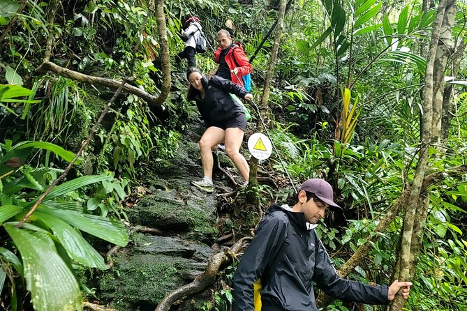 Bach Ma National Park trekking deluxe daily tour from Hue - Who Should Consider This Tour?