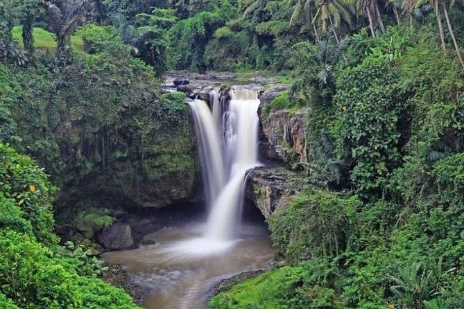 Bali Private Car Charter with English Speaking Driver Or Guide - The Value of This Experience