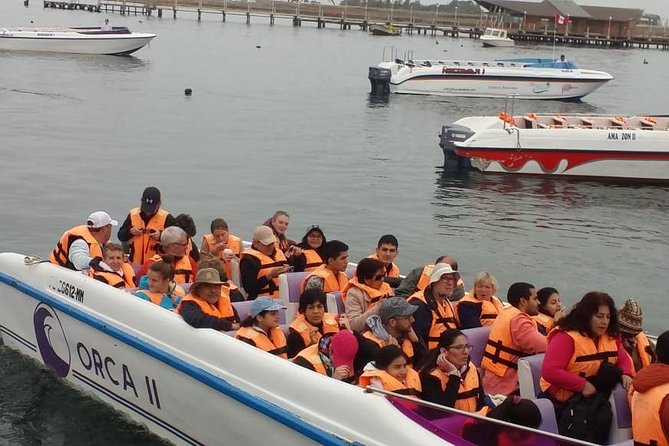 Ballestas Islands Group Tour From Paracas - Pricing and Cancellation Policy