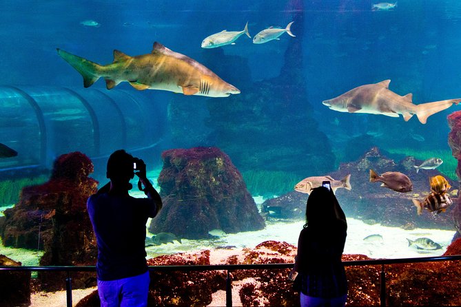 Barcelona Aquarium Skip the Line Ticket - Transportation and Location