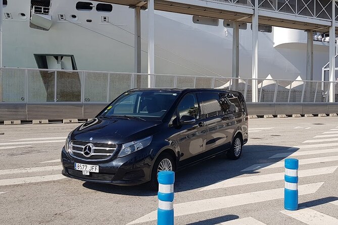 Barcelona Highlights Private Guided Tour - Customization Options for a Personalized Experience
