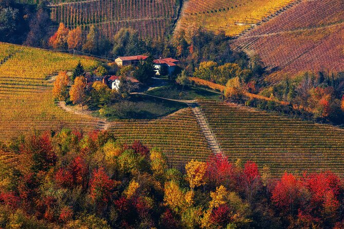 Barolo Wine Tasting, Alba, UNESCO Castle: Small Group From Milan - Guest Experiences and Reviews