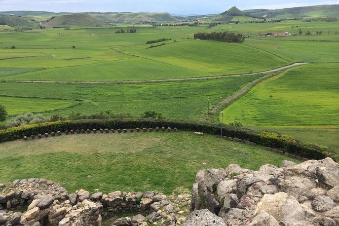 Barumini Unesco Site and Giara of Gesturi Tour From Cagliari - Traveler Feedback