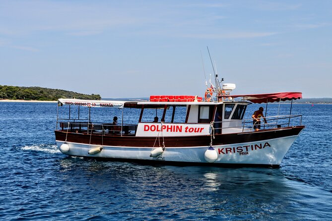Beautiful Sunset and Dolphin Watching - Accessibility Features