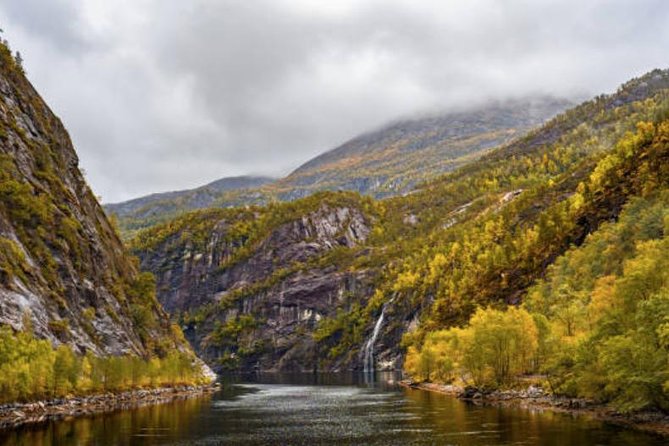 Bergen: Mostraumen Fjord Cruise - Customer Service and Booking Experiences